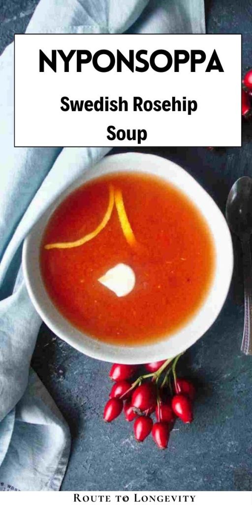 Nyponsoppa (Swedish rose hip soup recipe) - Route to Longevity