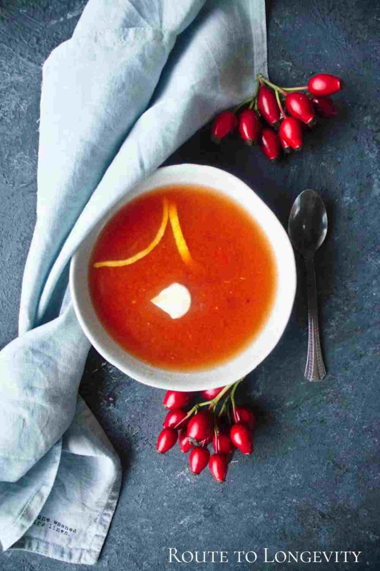 Nyponsoppa (Swedish rose hip soup recipe) - Route to Longevity
