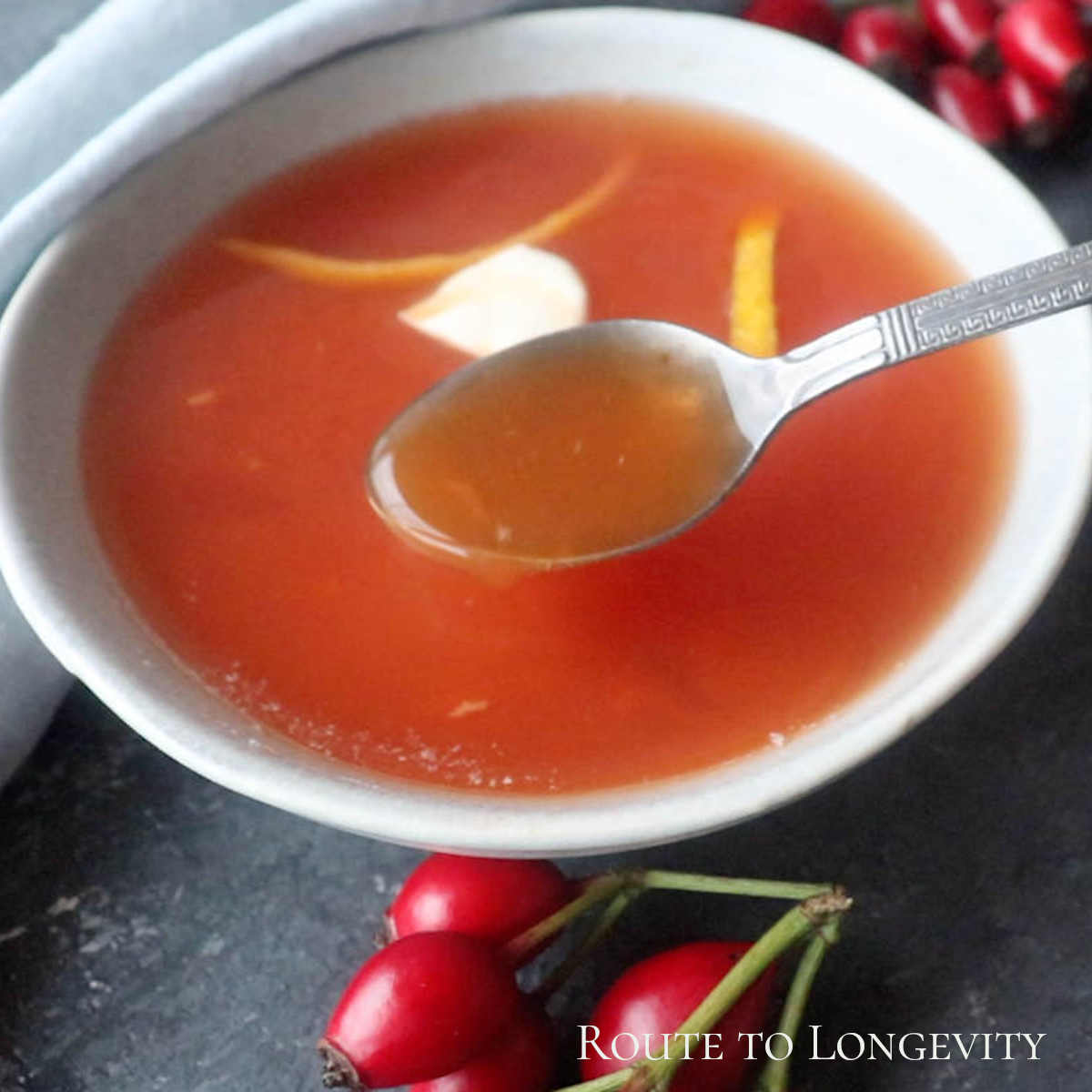 Nyponsoppa (Swedish rose hip soup recipe) - Route to Longevity