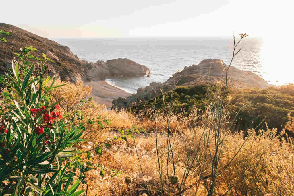 10+ Secrets to Longevity in Ikaria. - Route to Longevity