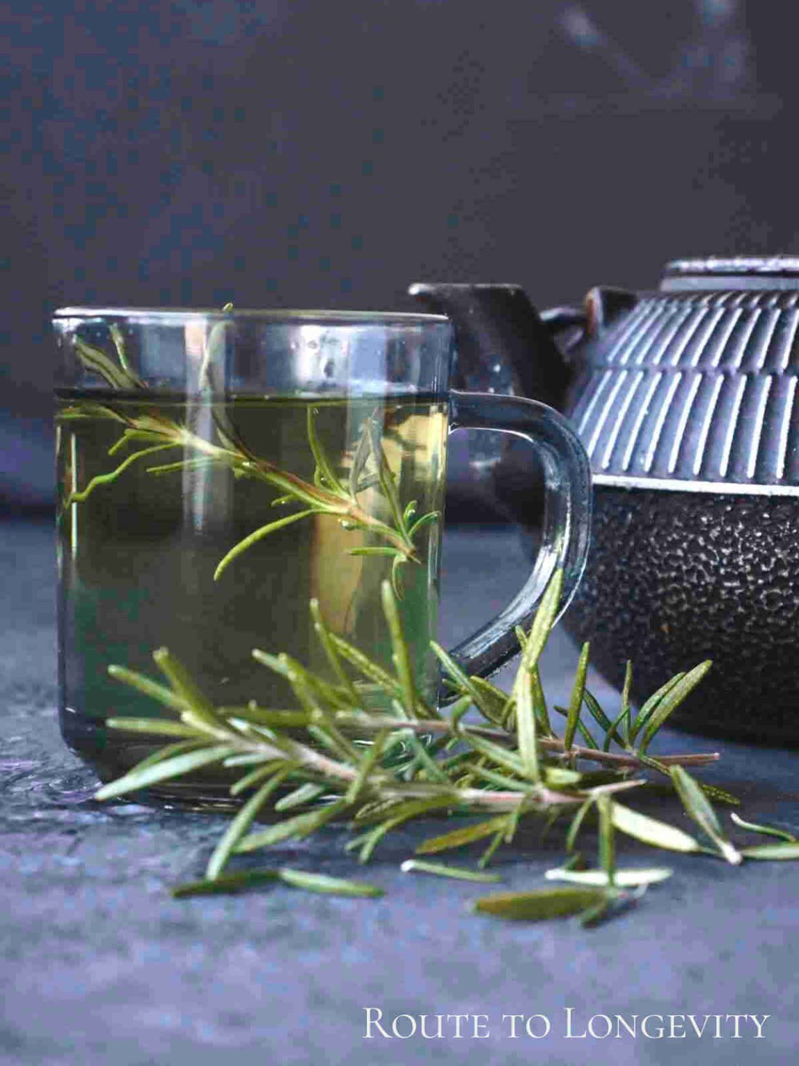 How to make Rosemary Tea for longevity - Route to Longevity
