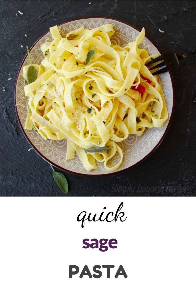 Quick sage pasta recipe - Route to Longevity