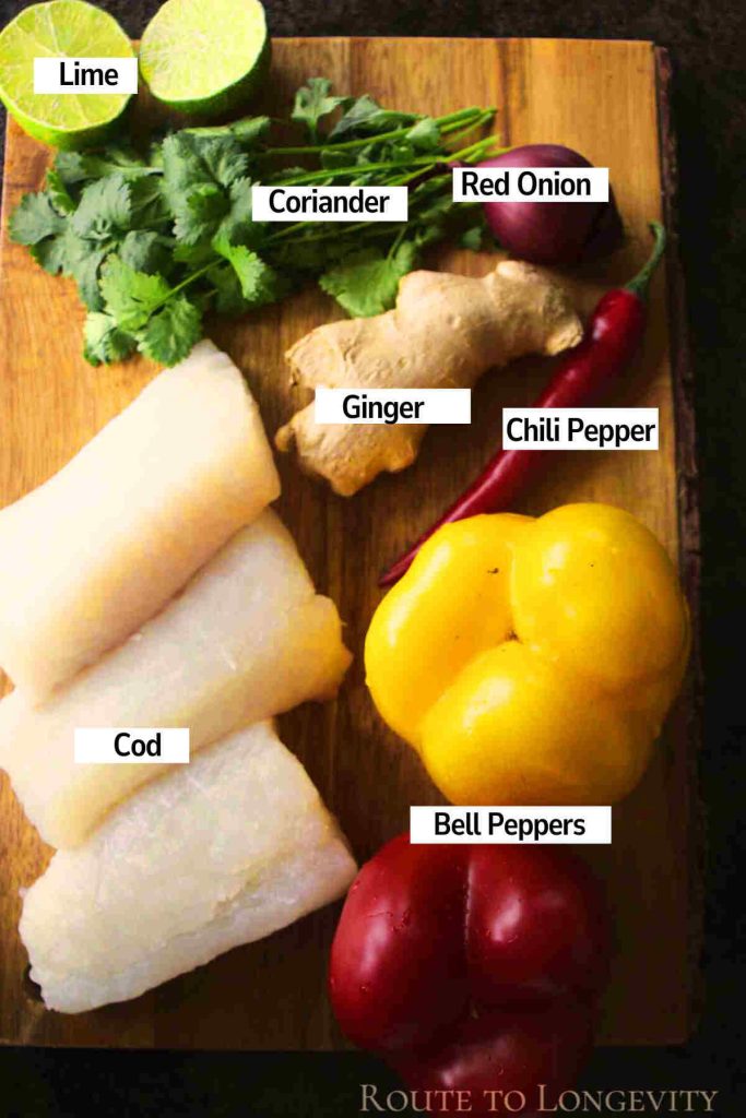 Authentic Costa Rica Ceviche Recipe - Route to Longevity