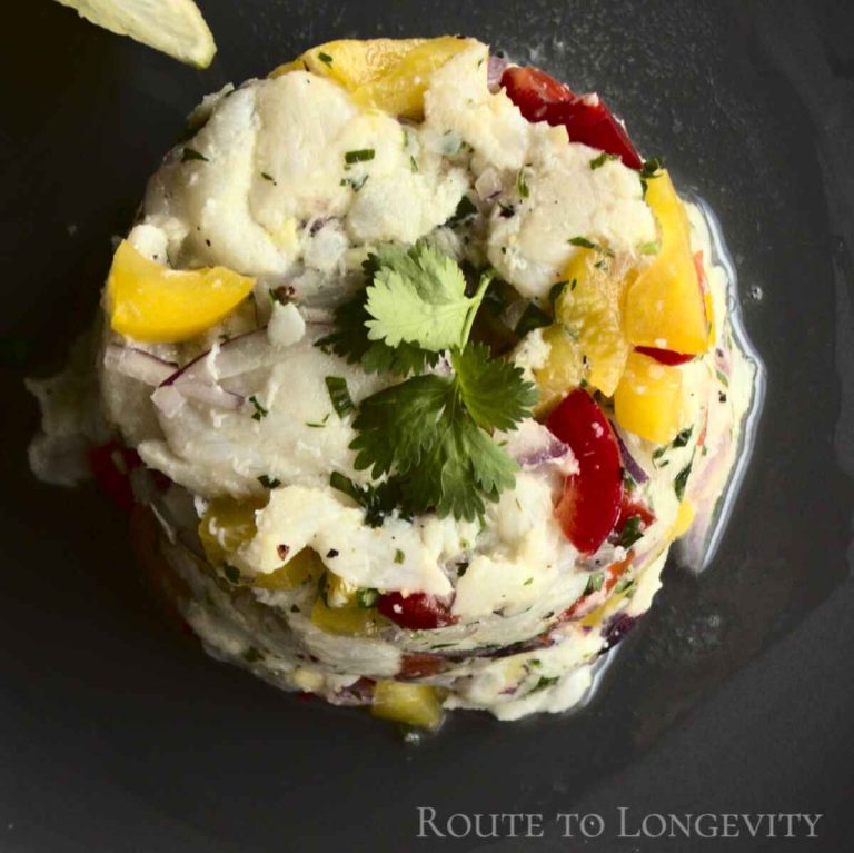 Authentic Costa Rica Ceviche Recipe - Route to Longevity
