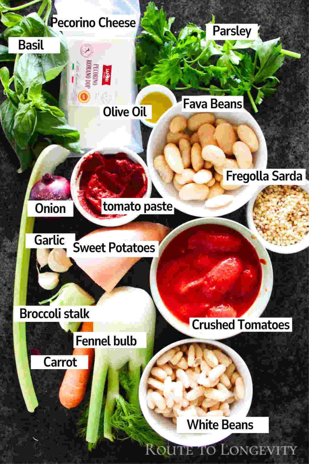 Sardinian Minestrone Soup - Blue Zone Staple - Route to Longevity