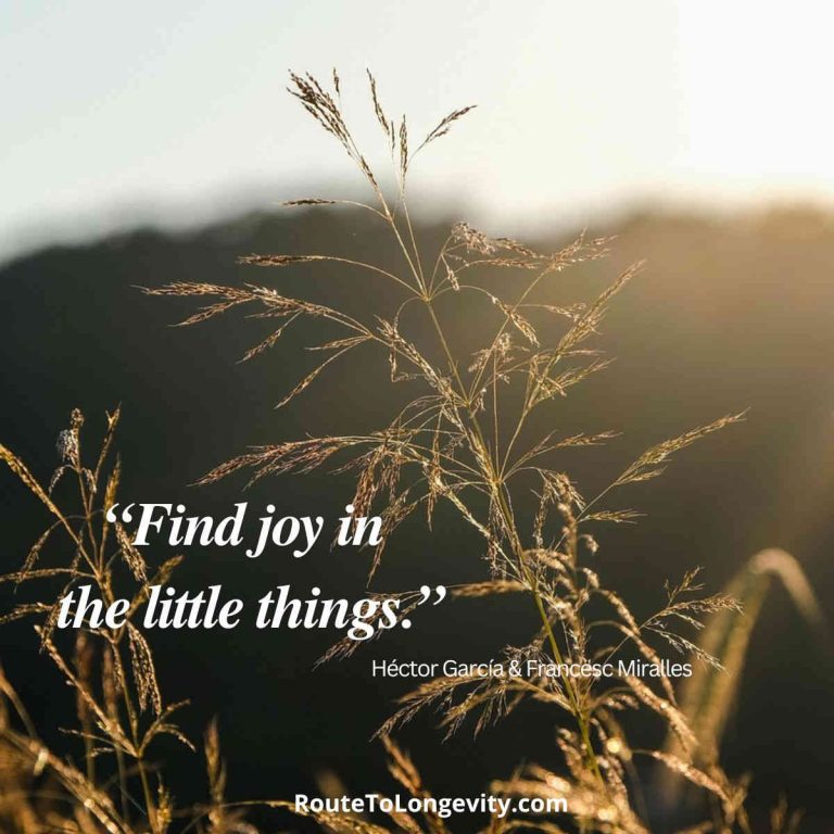 20+ Ikigai Quotes: Find your Purpose - Route to Longevity