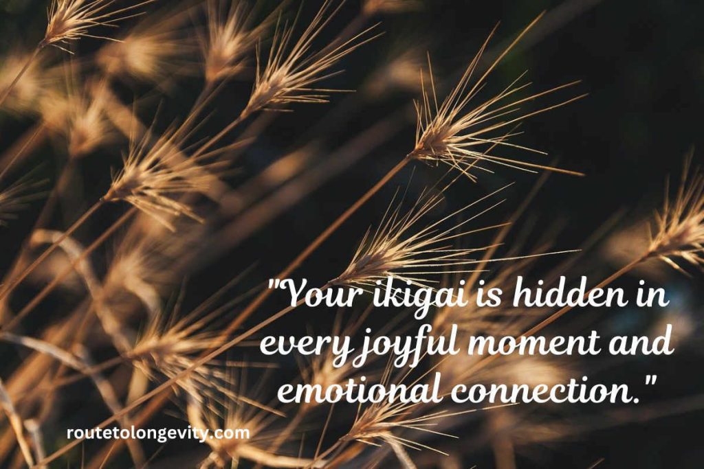 20+ Ikigai Quotes: Find your Purpose - Route to Longevity