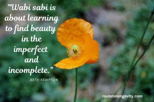 30+ Best Wabi Sabi Quotes - Route to Longevity