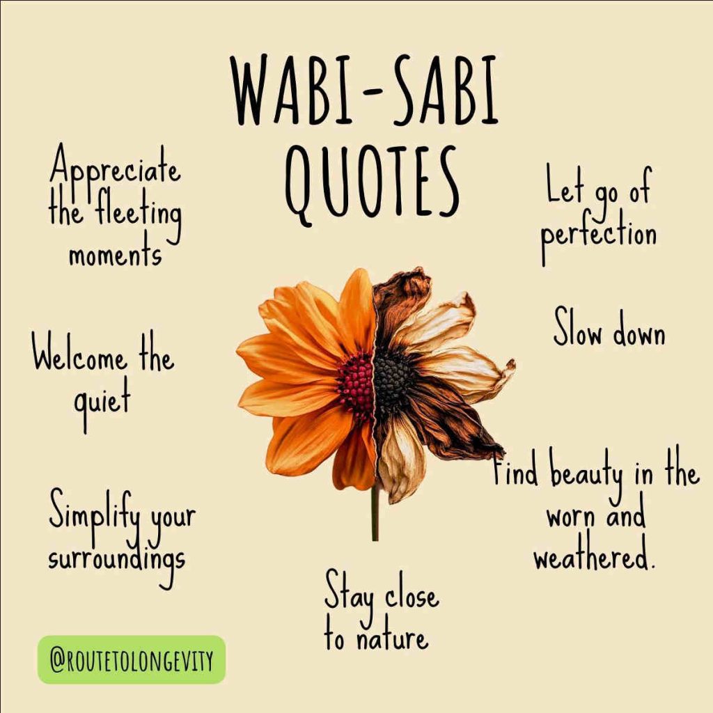 30+ Best Wabi Sabi Quotes - Route to Longevity