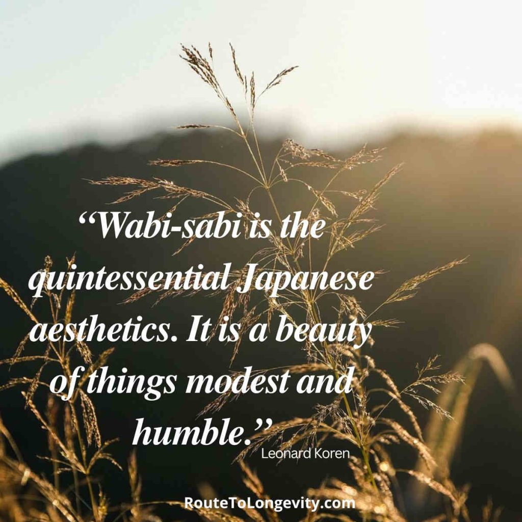 30+ Best Wabi Sabi Quotes - Route to Longevity