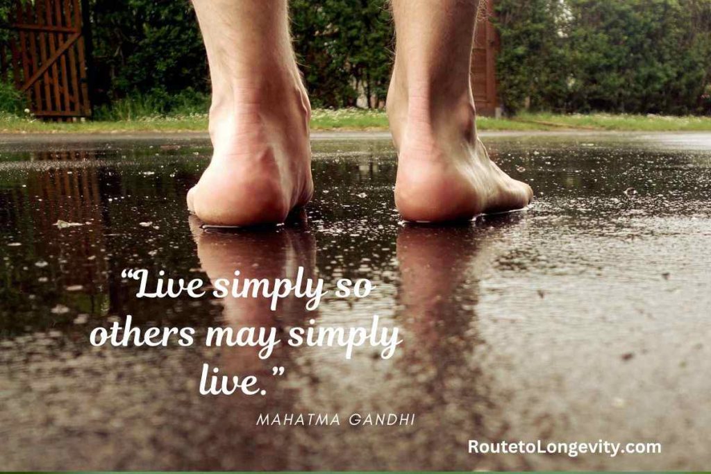50+ Best Slow Living Quotes to Enjoy the Moment - Route to Longevity