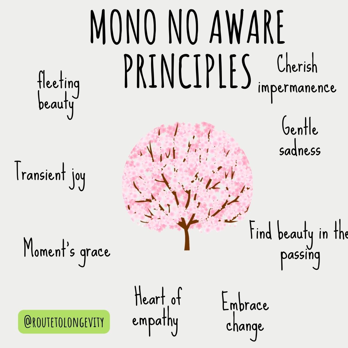 Mono No Aware - Japanese philosophy to Longevity - Route to Longevity