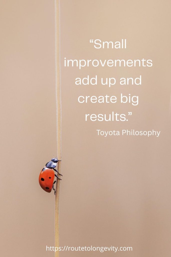 30+ Kaizen Quotes: The Japanese Way of Continuous Improvement - Route ...