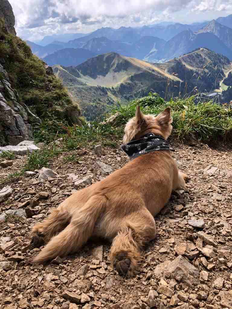 7 simple Morning Routine ideas for Longevity - Route to Longevity