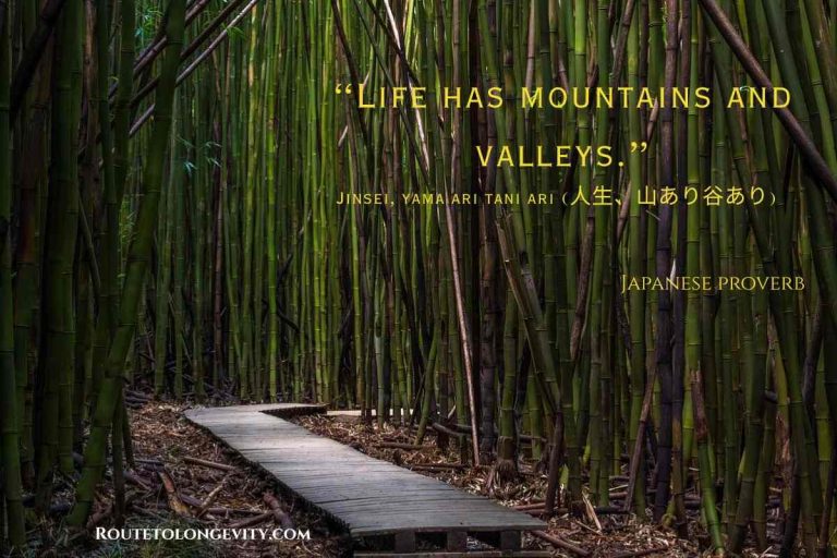 51 Inspirational Japanese Quotes and Proverbs on Life - Route to Longevity